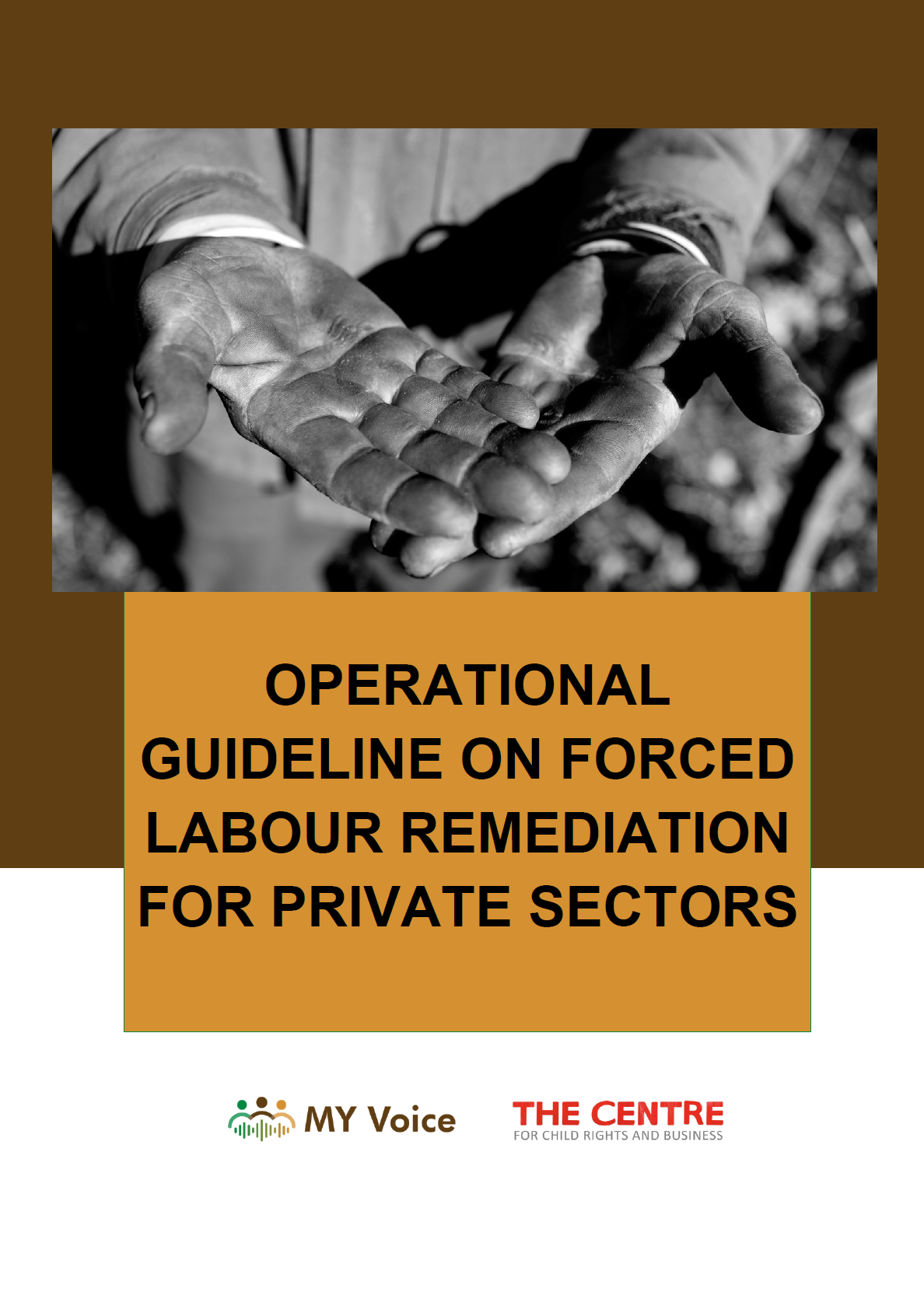 MY Voice Forced Labor Remediation Guidelines and Toolkit - SAI